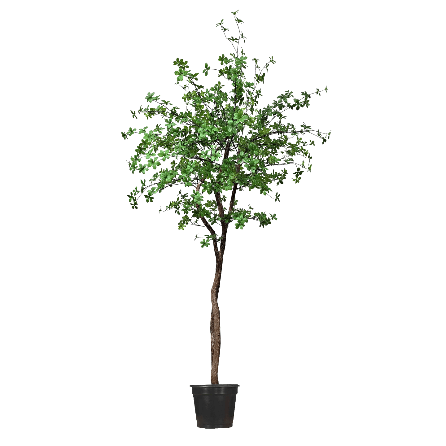 Chestnut Leaf Tree on Single Trunk - Various Sizes Available – LDF Silk
