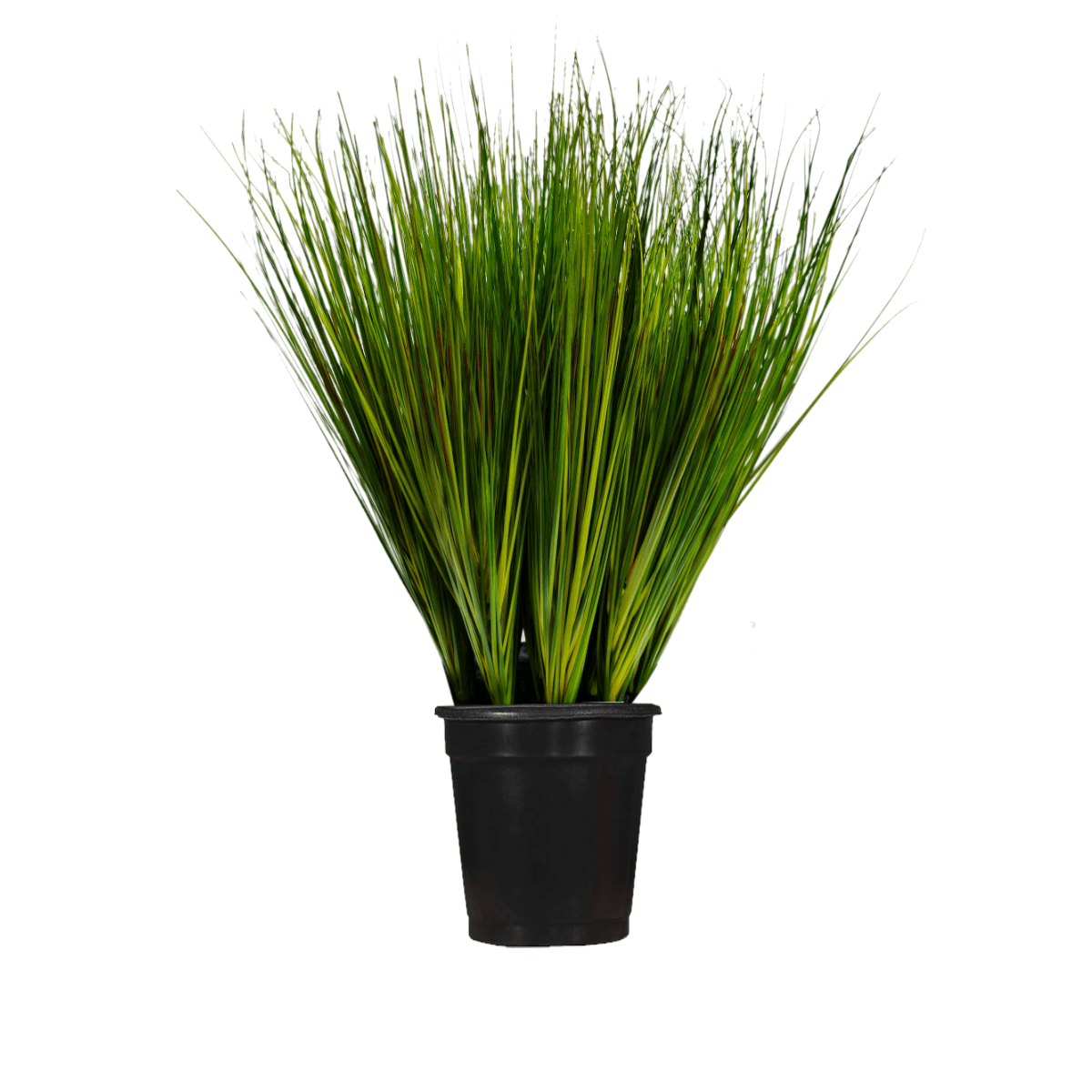 PVC Grass in Growers Pot FH: 30" – LDF Silk