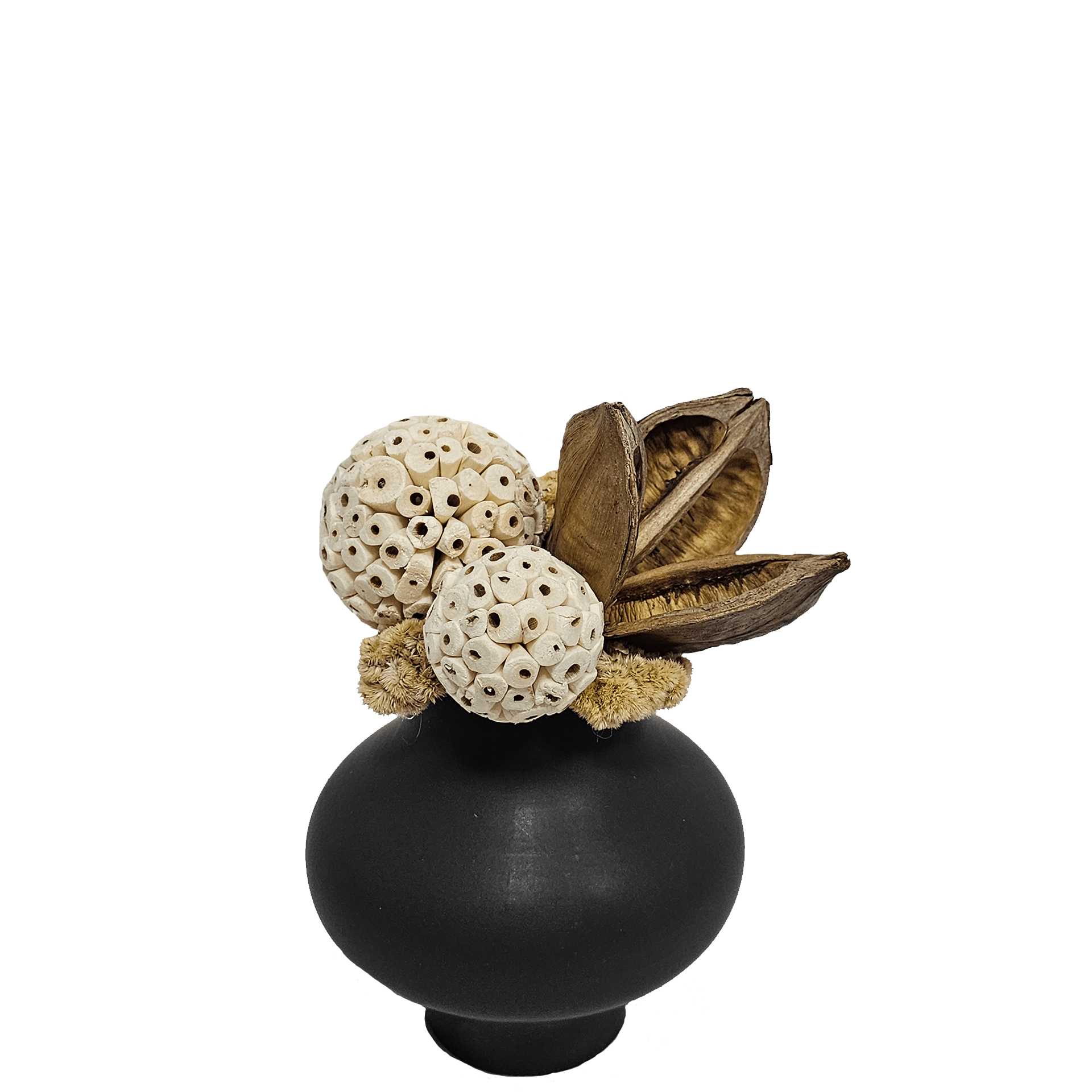 Sora Pod, Spheres and Coxcomb in Ceramic Vase. 9.5"H – LDF Silk