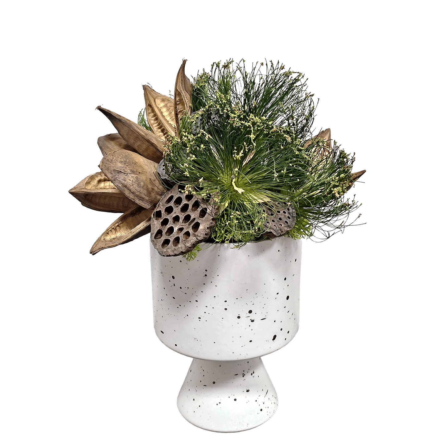 Sora Pods with Cypress Blooms and Lotus Pods in Spotted Vase. FH: 16"H ...
