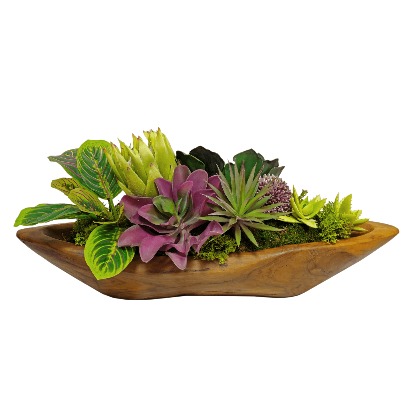 Succulents, Protea, Allium and Peacock Plant in Boat FH: 10" – LDF Silk