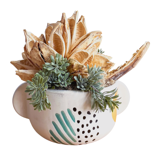 Dried Star Pod with Succulents in Ceramic
