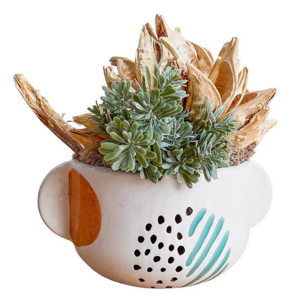 Dried Star Pod with Succulents in Ceramic