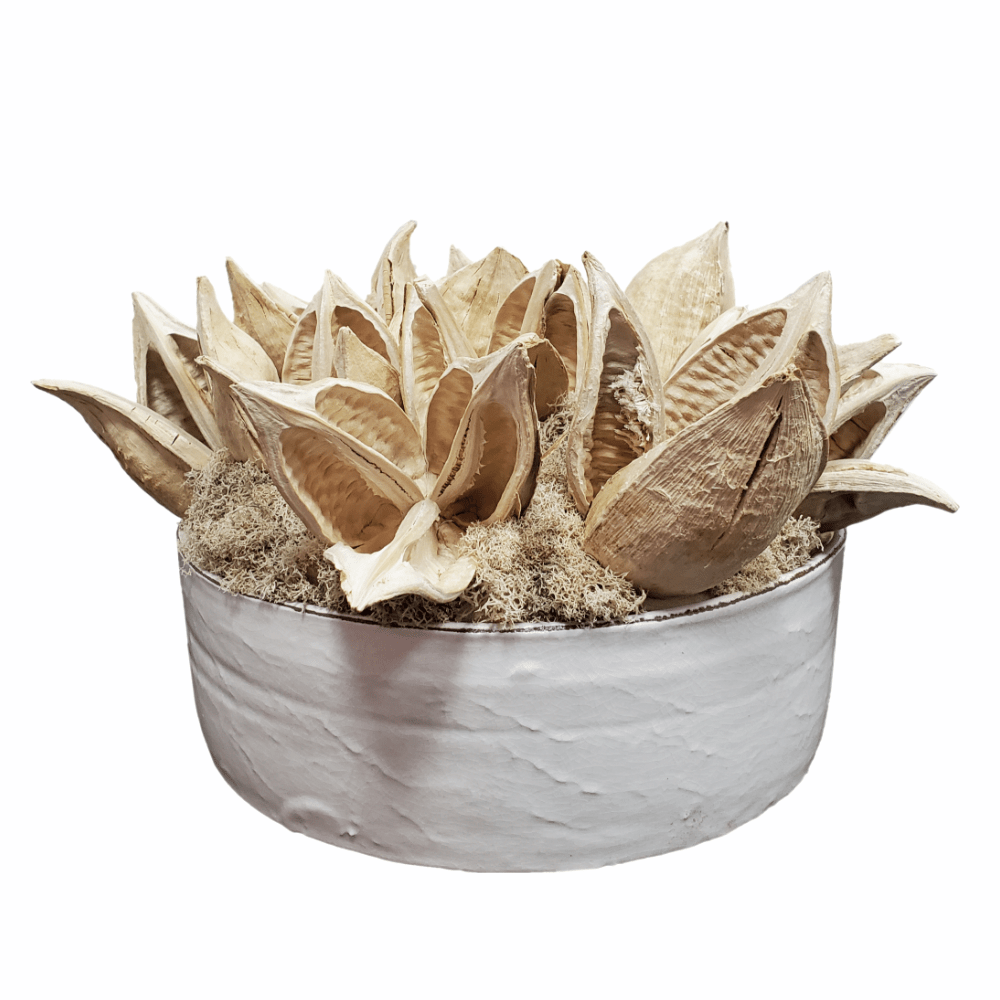 Dried Sora Pods with Reindeer Moss in Bowl 8"H – LDF Silk